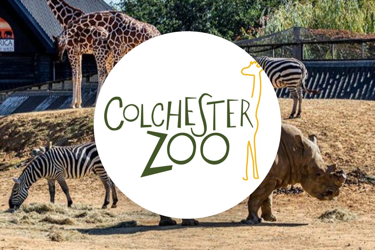 Colchester Zoo Poster – IC Travel
