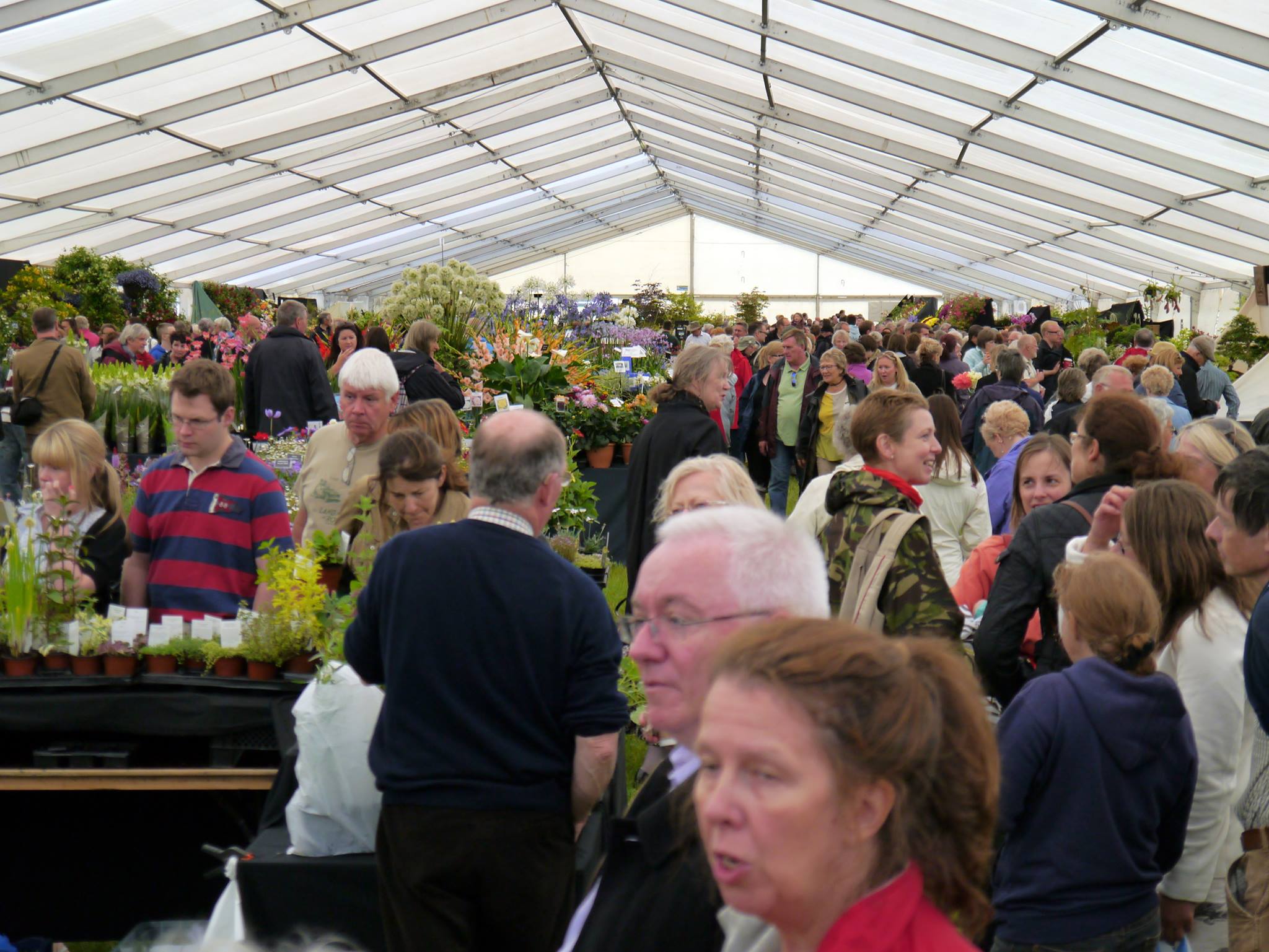 National Flower Show 6 – IC Travel